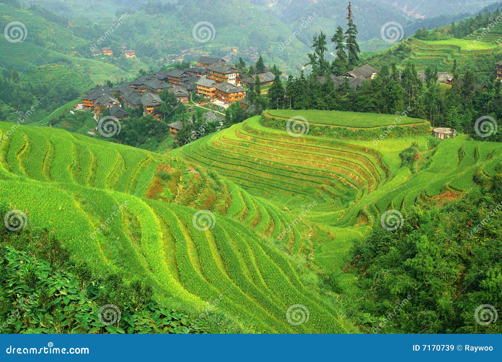 Green Rice Terrace in China Mountaines Stock Image - Image of green ...