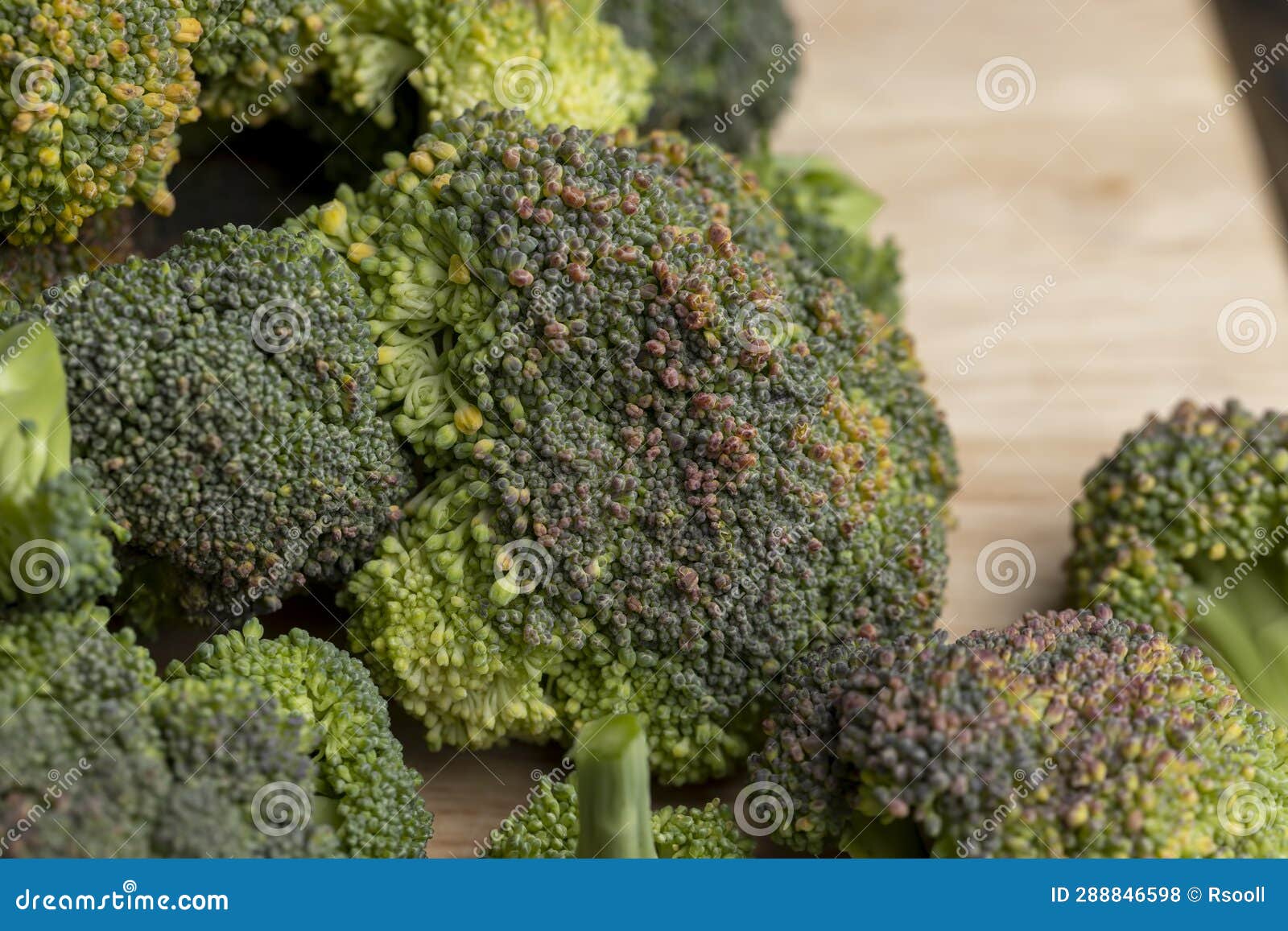 Green Ripe Broccoli in Raw Form Stock Photo - Image of stem, health ...