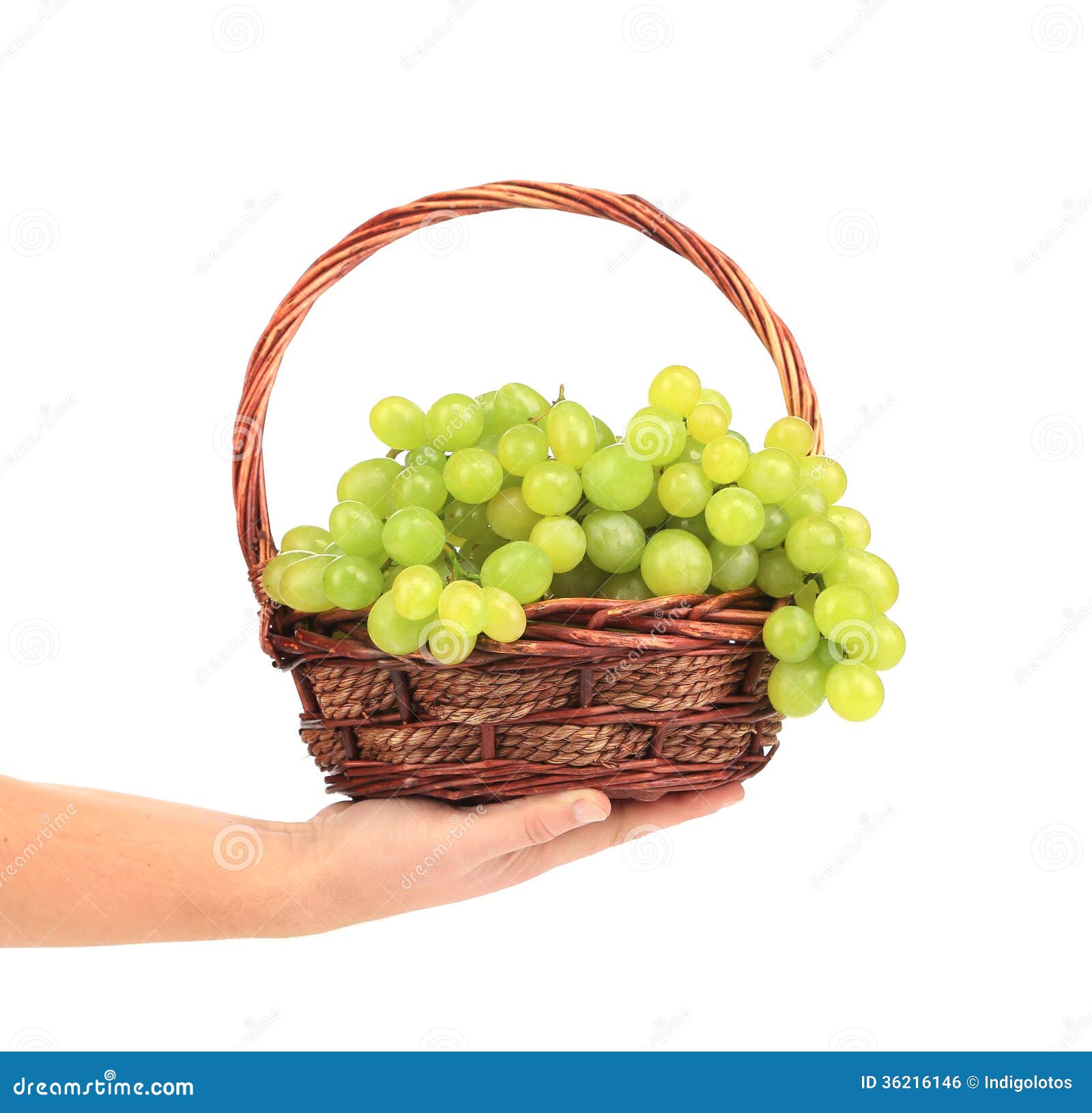 Green Ripe Grapes Basket in Hand. Stock Photo - Image of beauty ...