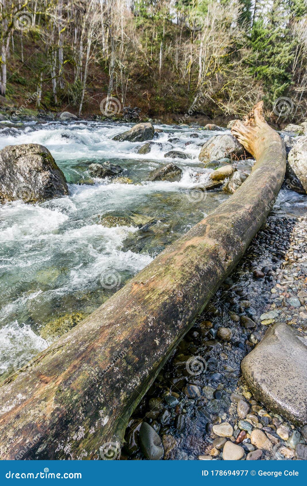 Green River Rapids Landscape 8 Stock Image - Image of scenic ...