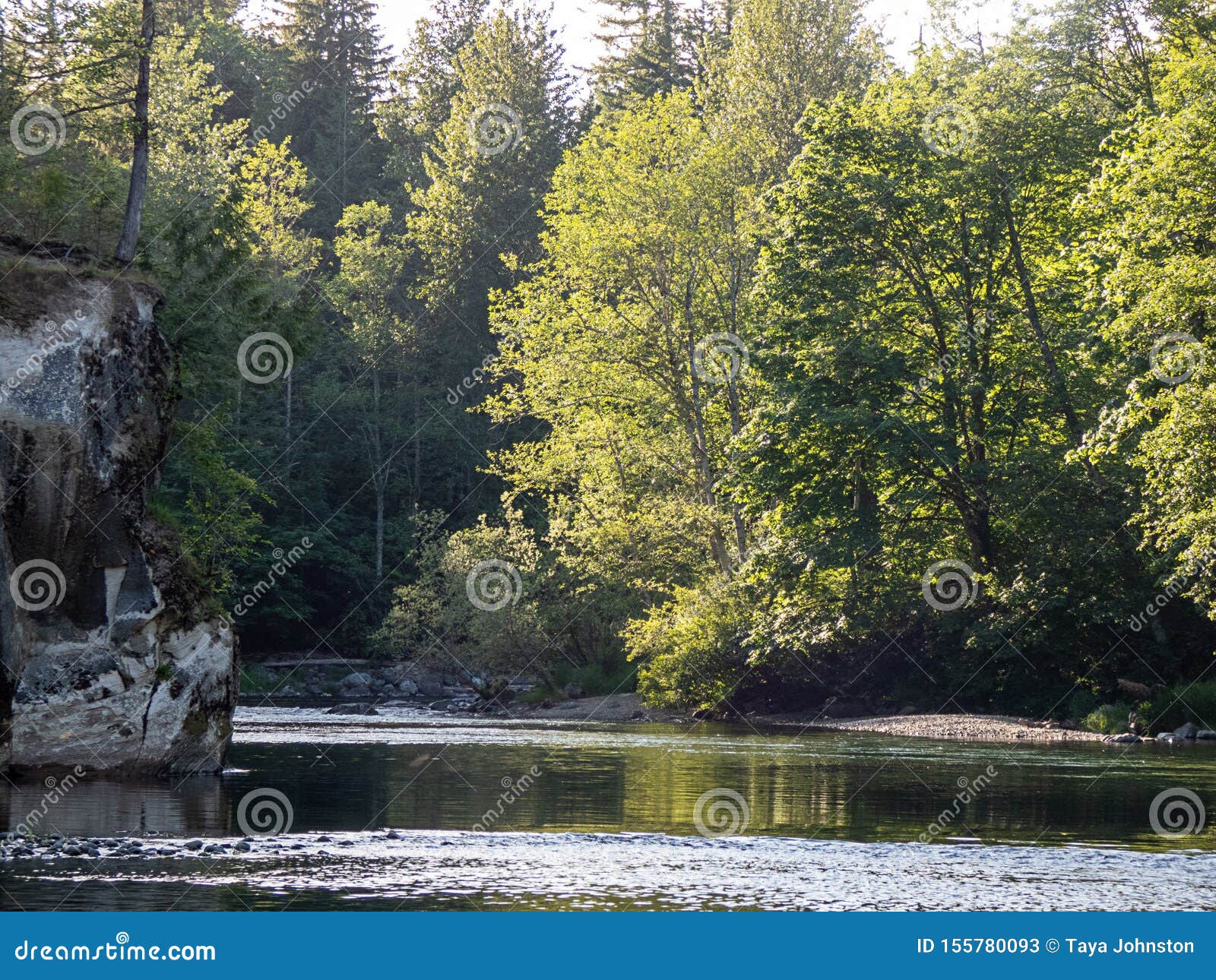 Green River in Washington State Flowing Past Forest and Sandy Shoreline ...