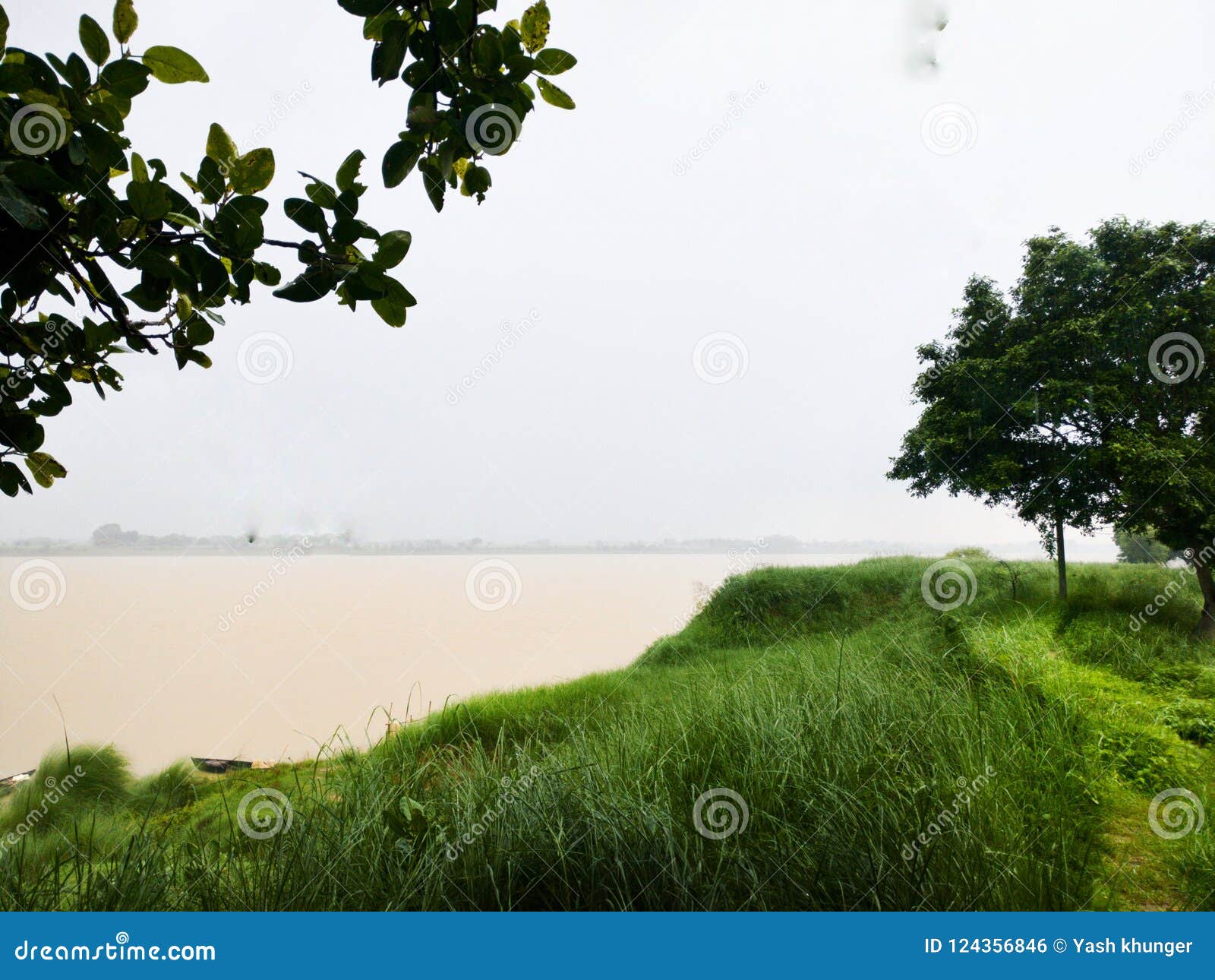 Green Riverside stock photo. Image of greenery, riverside - 124356846