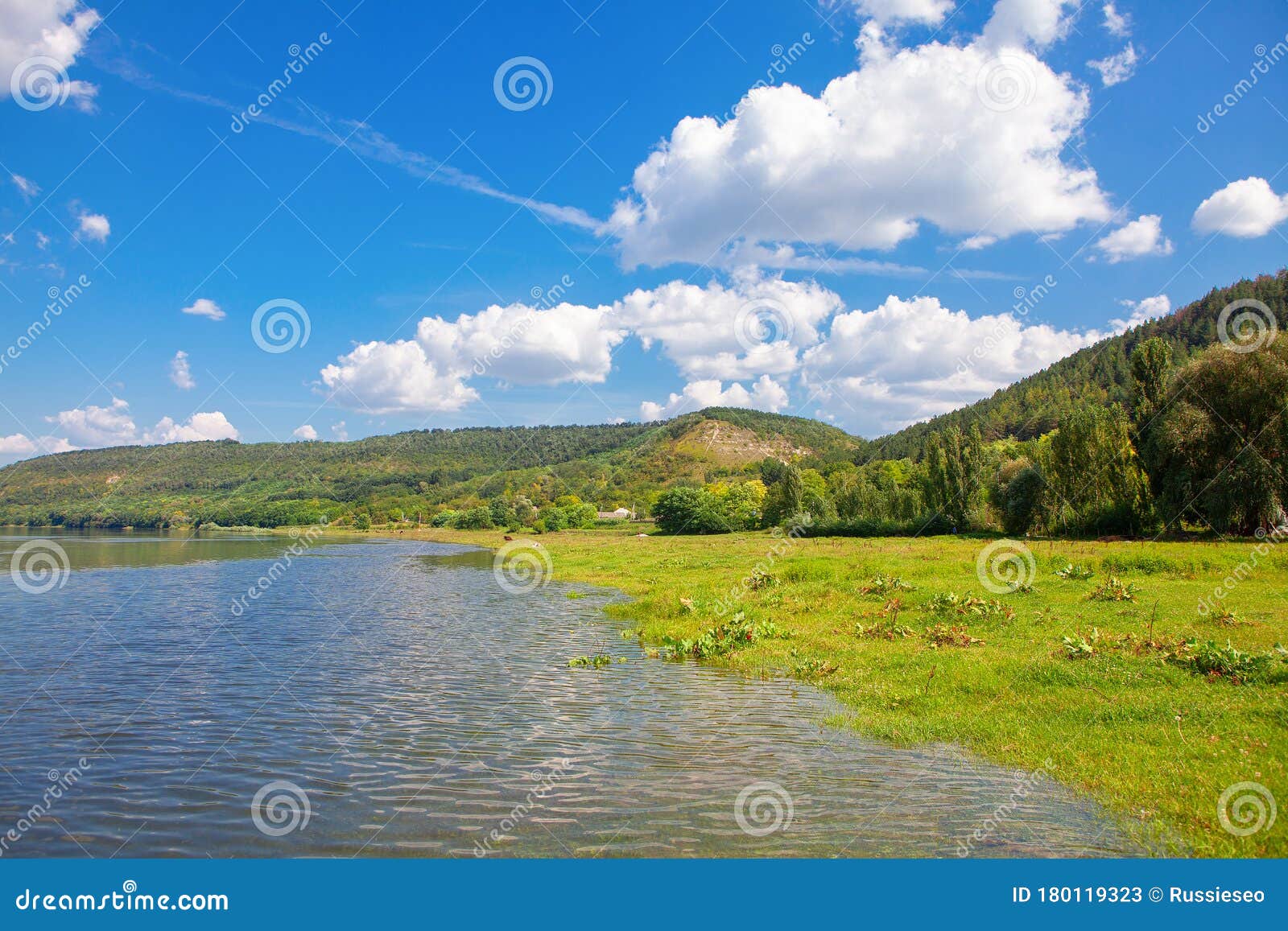 Green riverside scenery stock image. Image of landscape - 180119323