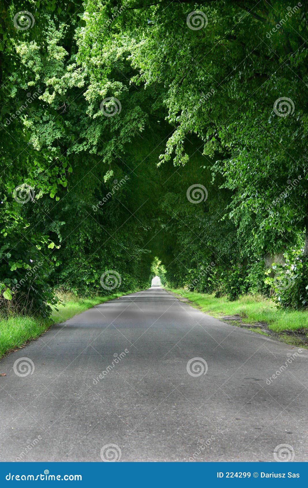 Green road stock image. Image of transportation, corner - 224299