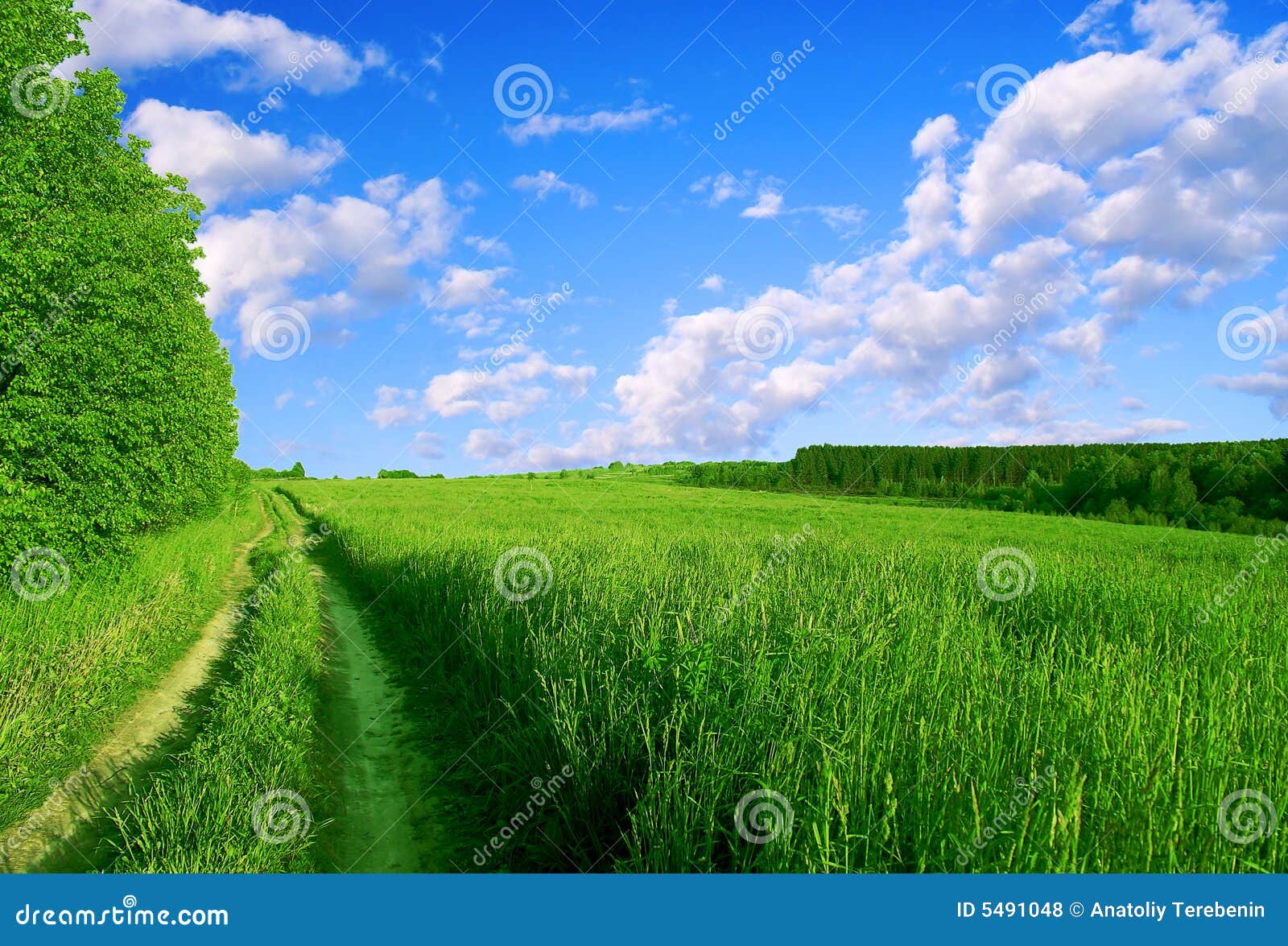 Green road. stock photo. Image of nature, cloud, field - 5491048