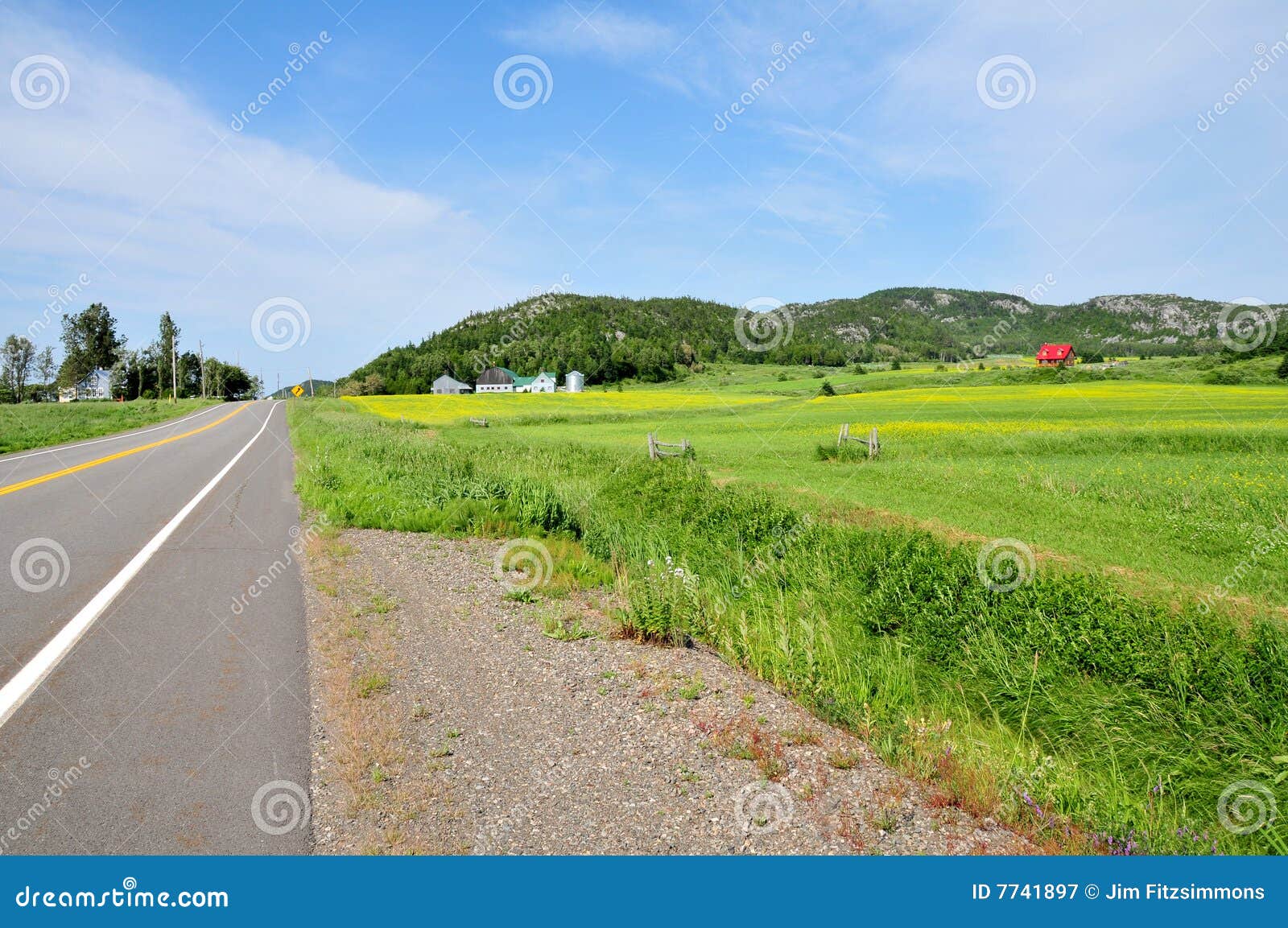 Green Road stock image. Image of road, roadside, blue - 7741897