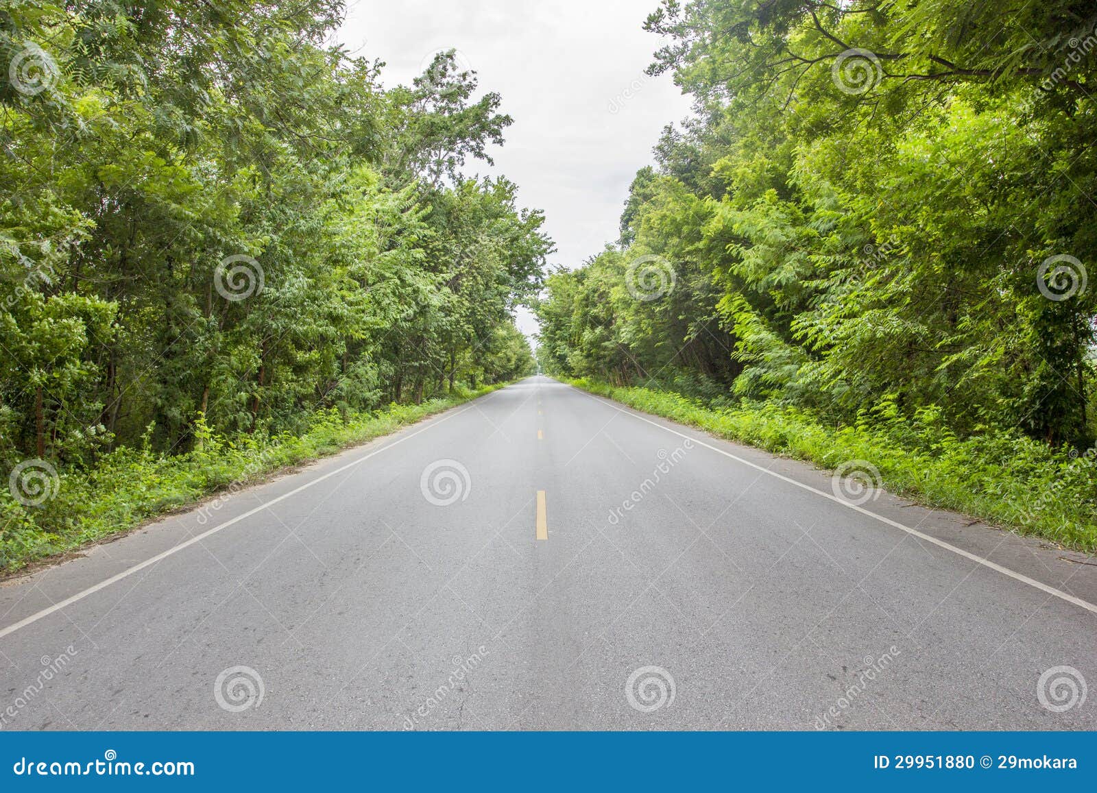 The Green Road on Connectivity between Cities Stock Photo - Image of ...