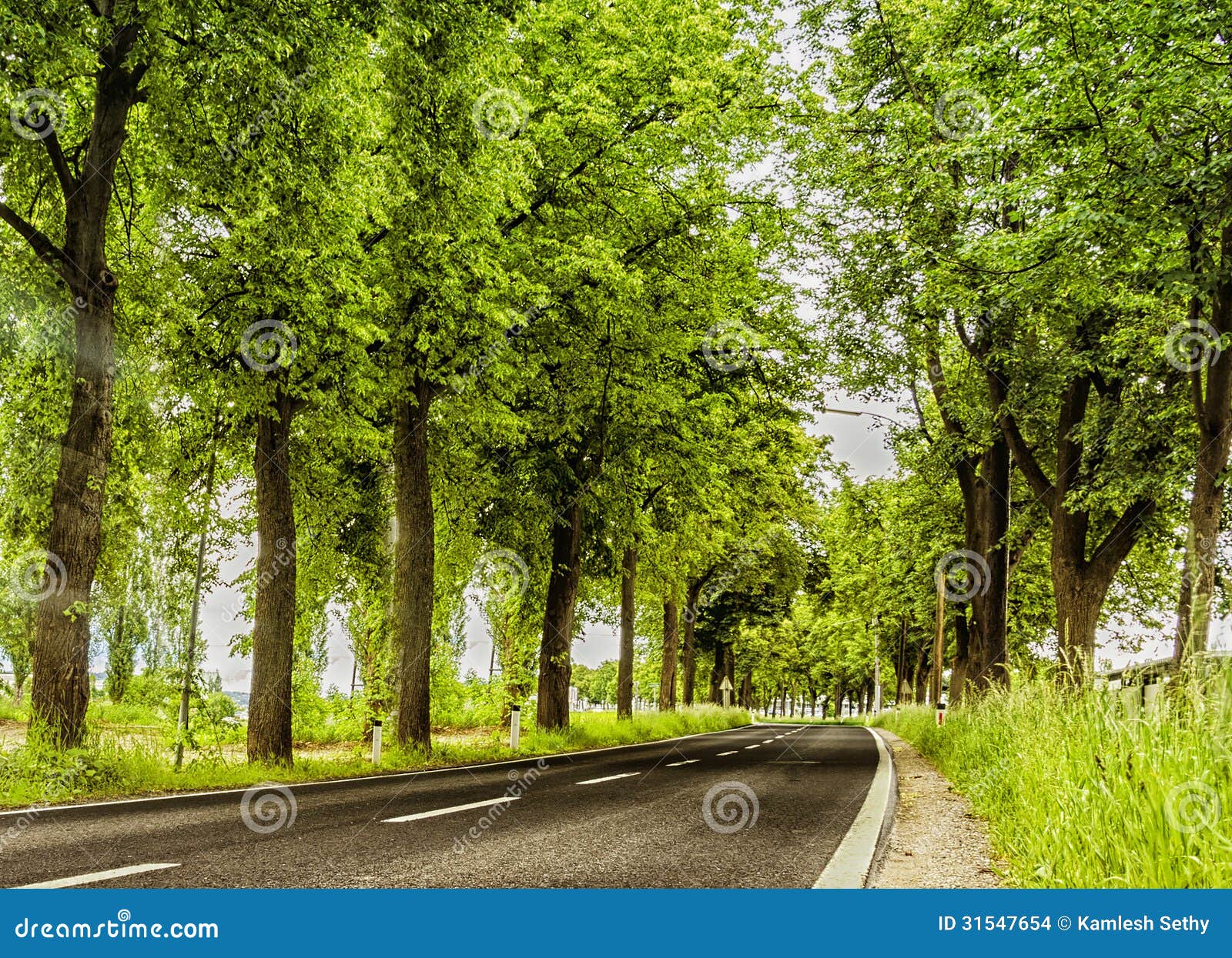 Green Road stock photo. Image of park, path, scene, rural - 31547654