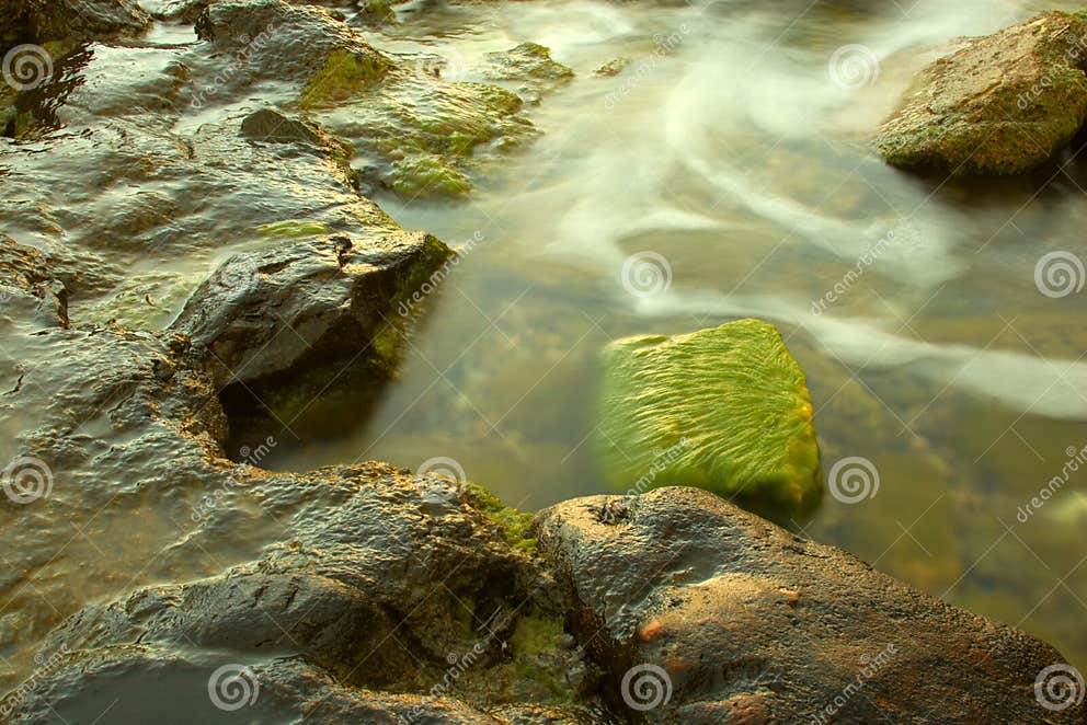 Green Rock stock photo. Image of water, seaweed, nature - 1473978