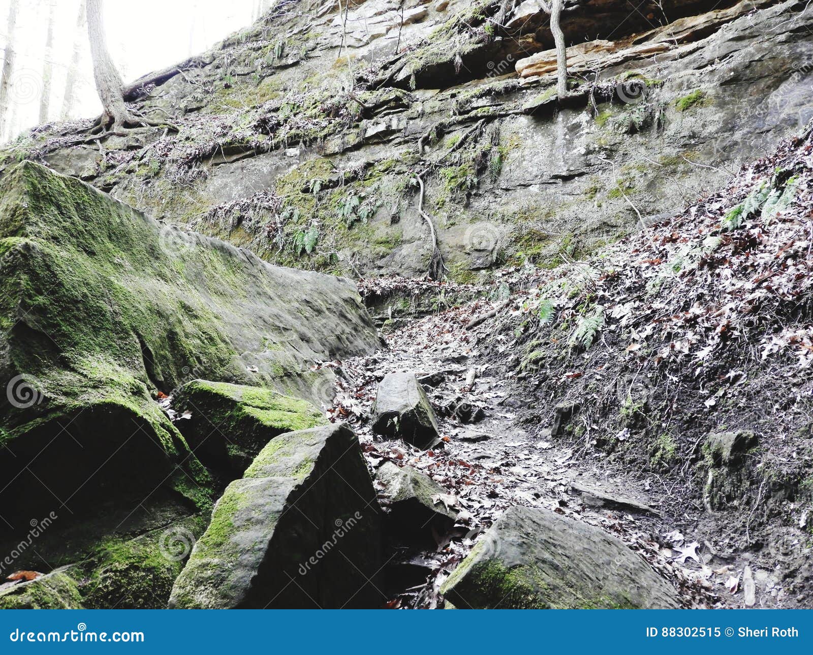 Green rock stock image. Image of green, moss, alive, rocks - 88302515