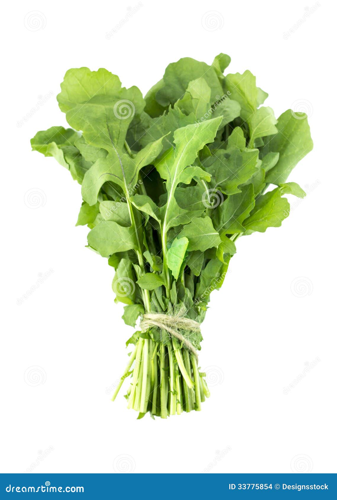 Green Rocket or Roquette Leaves Stock Photo - Image of green, nature ...