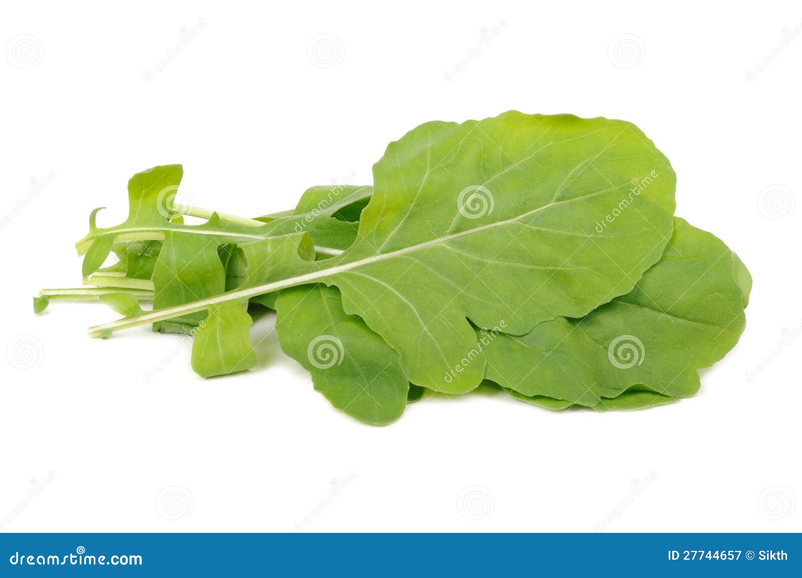 Green Rocket Salad Leaves stock image. Image of herbal - 27744657