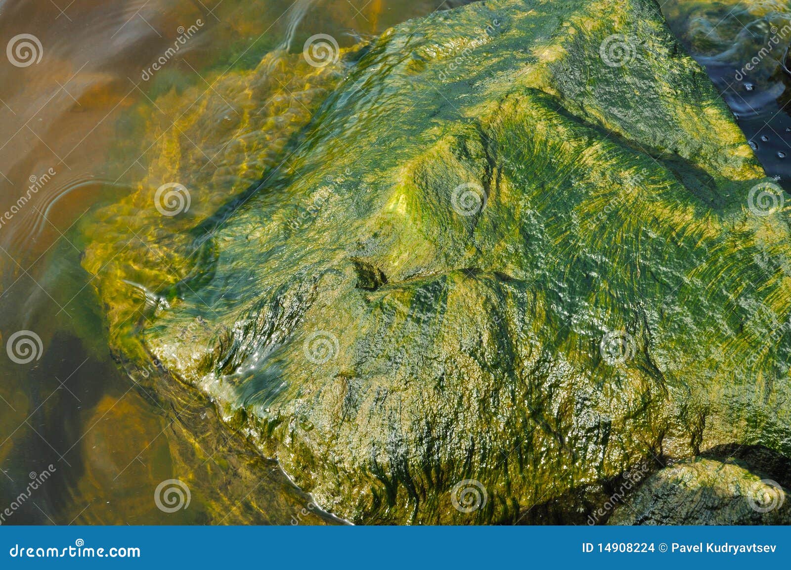 Green rocks stock photo. Image of idyllic, early, beach - 14908224