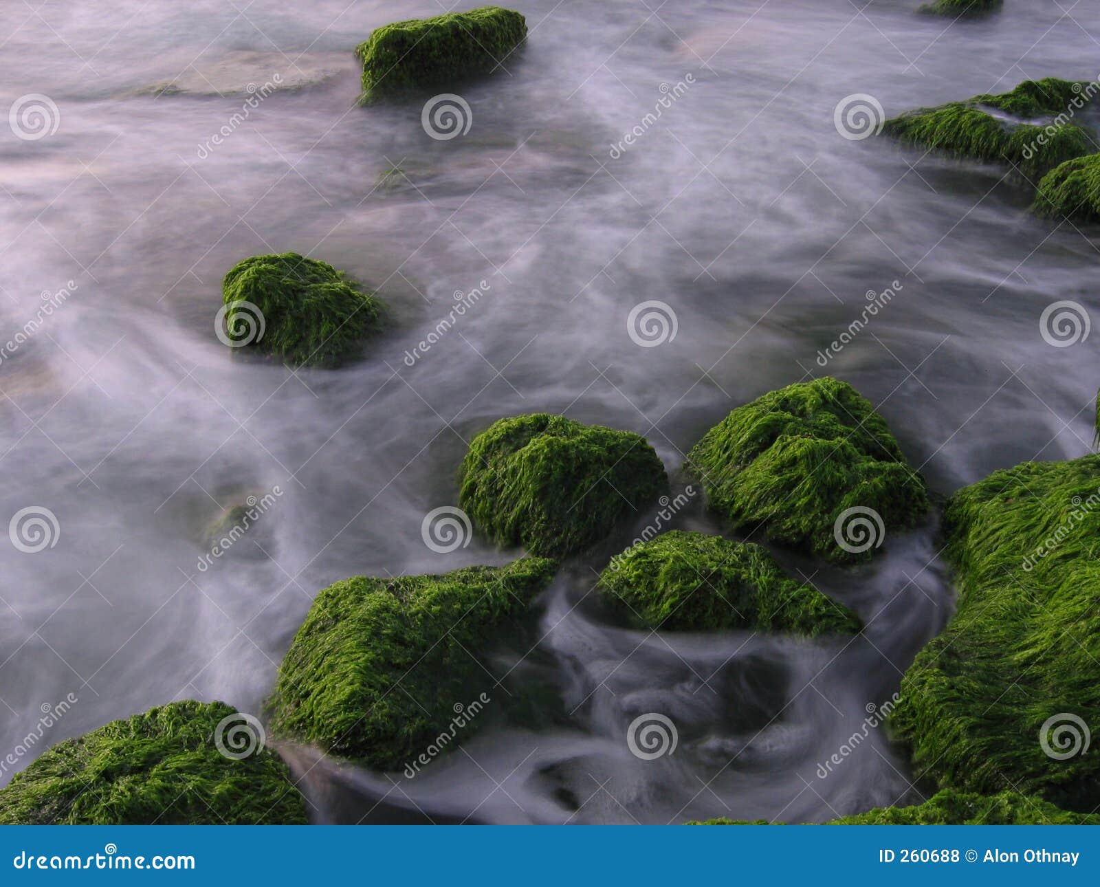 Green Rocks stock photo. Image of alga, obscure, vagueness - 260688