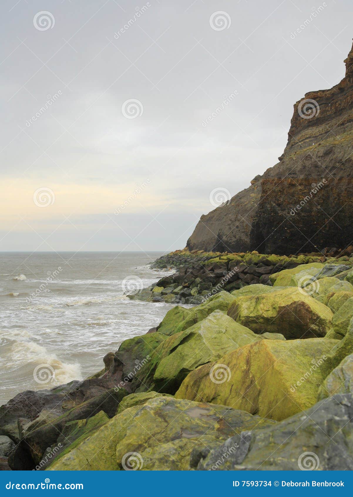Green rocks at Whitby stock photo. Image of rocks, coastal - 7593734