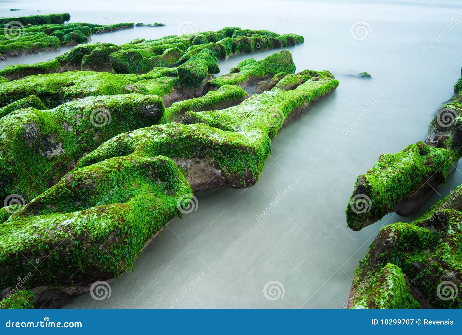 Green Rocky Seashore stock image. Image of island, marine - 10299707