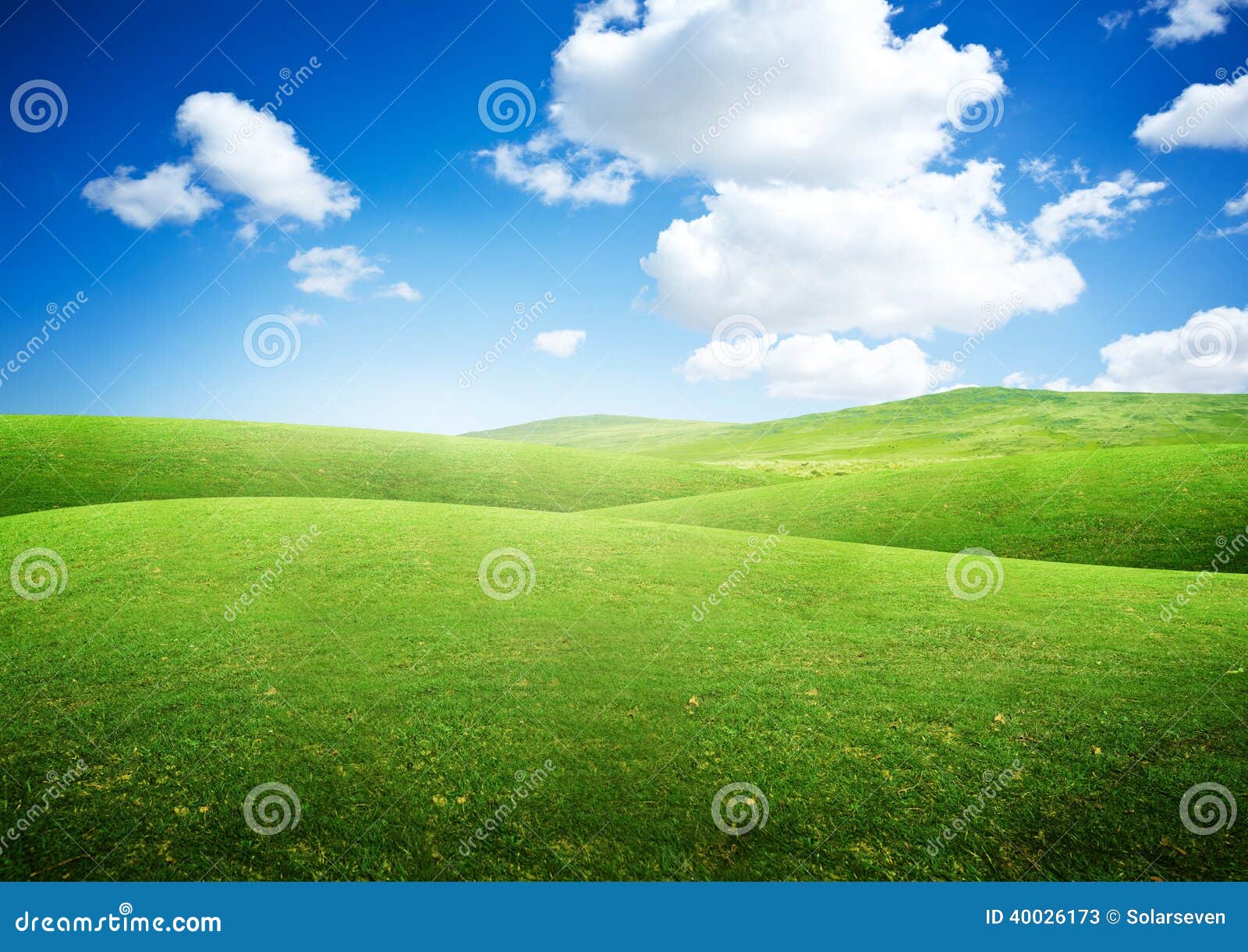 Green Rolling Fields stock image. Image of clear, summer - 40026173