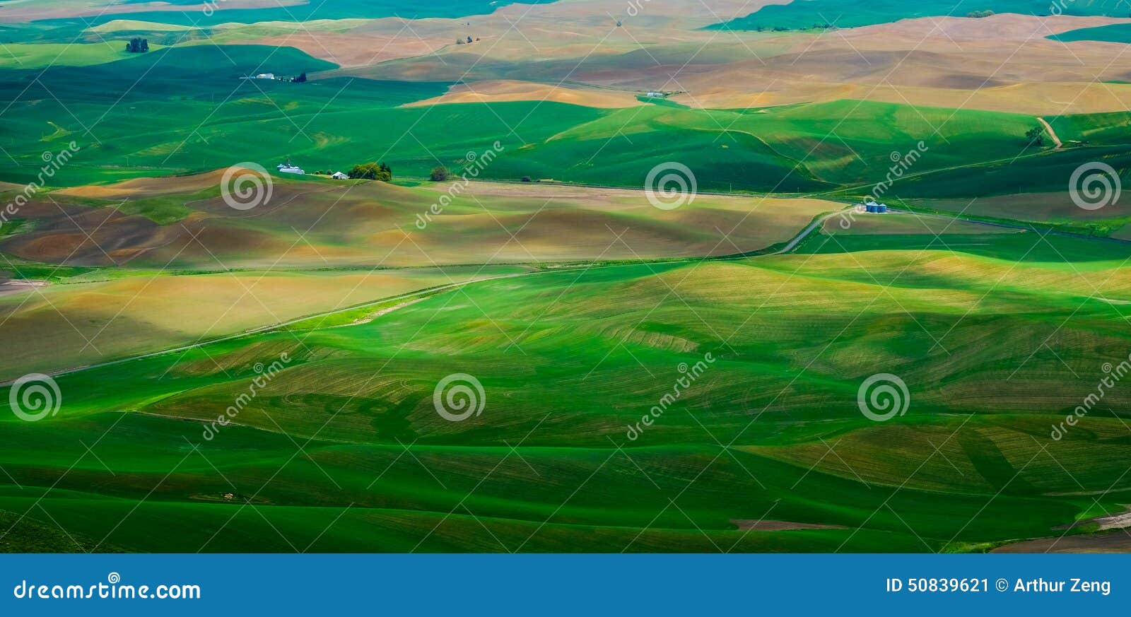 Green Rolling Hills in Spring Stock Image - Image of bush, home: 50839621