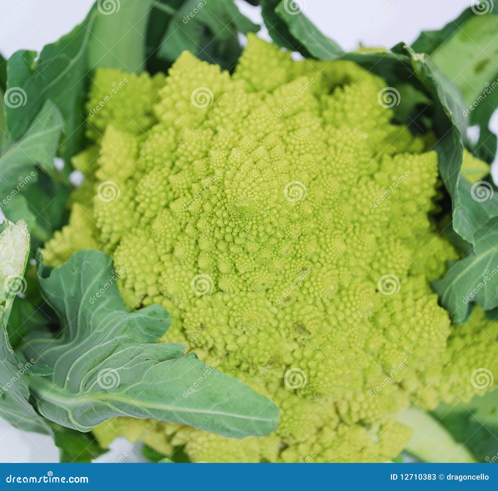 Green Romanesco stock image. Image of pattern, colour - 12710383