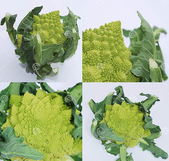 Green Romanescos stock image. Image of vegetables, forms - 13377643