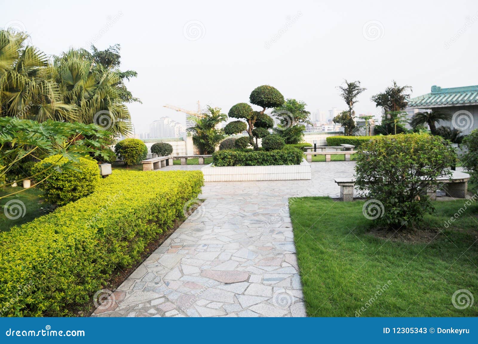 Green rooftop garden stock image. Image of outdoor, tropical - 12305343