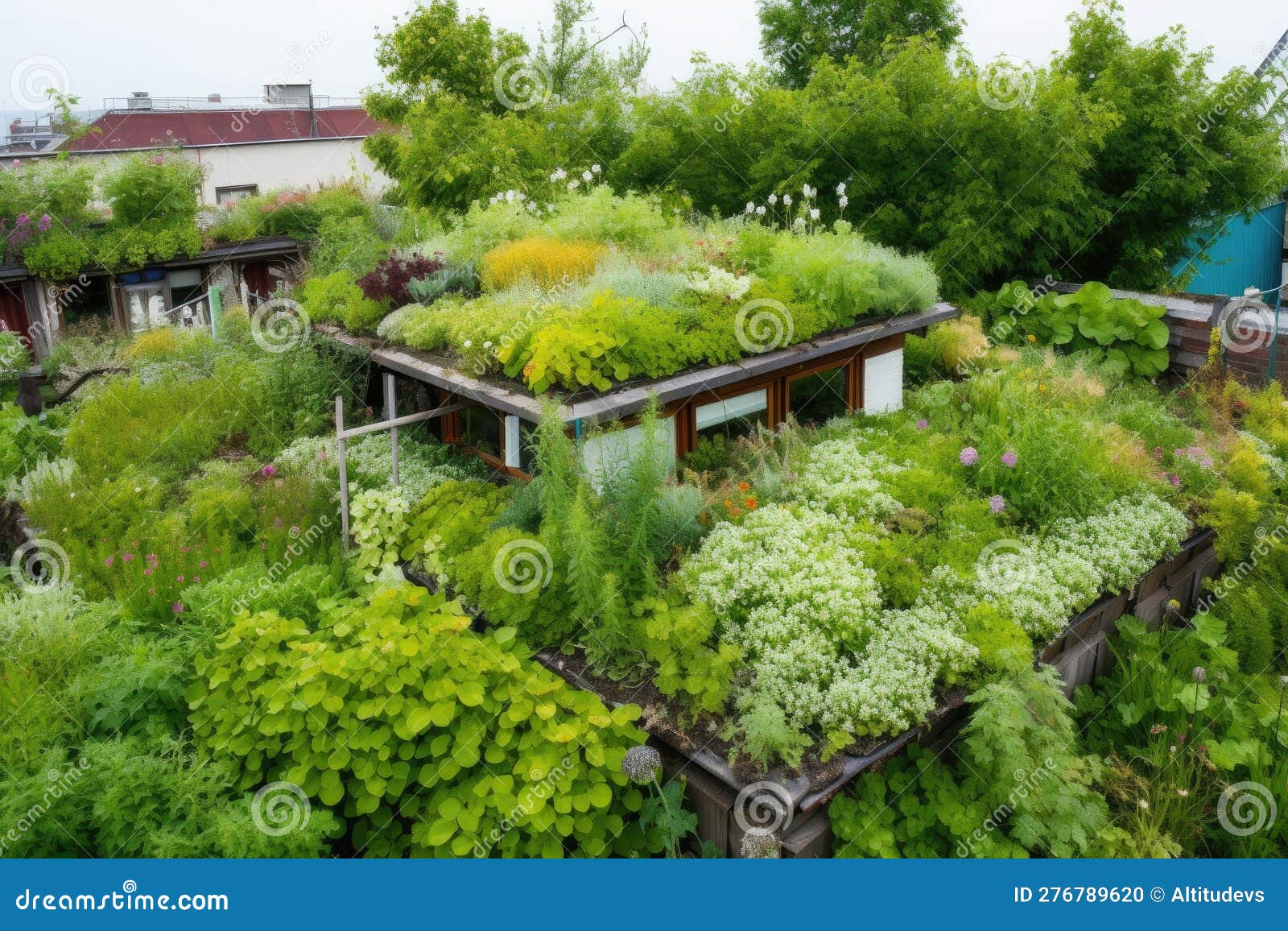 Green Rooftop Garden, Complete with Flowers and Greenery Stock ...