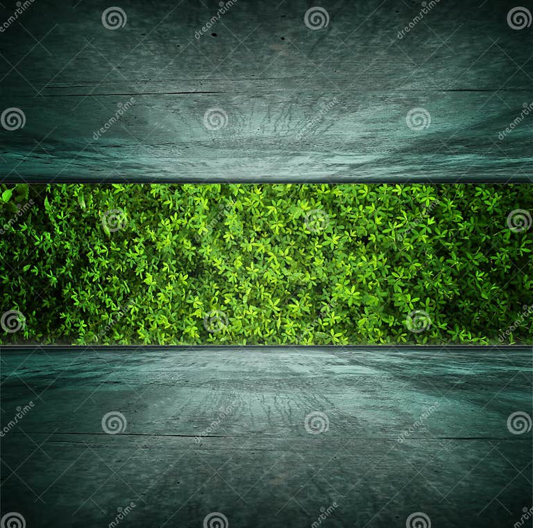 Green room stock photo. Image of garden, space, environment - 10322092