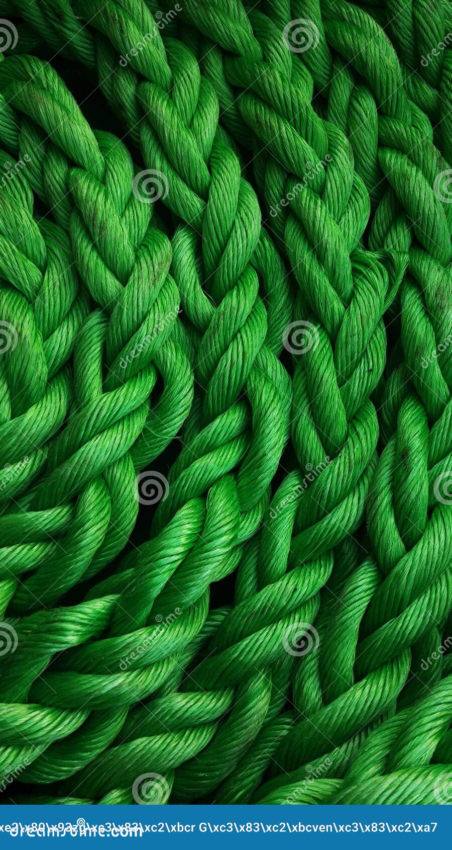 Green Ropes stock photo. Image of green, detail, rope - 44988828