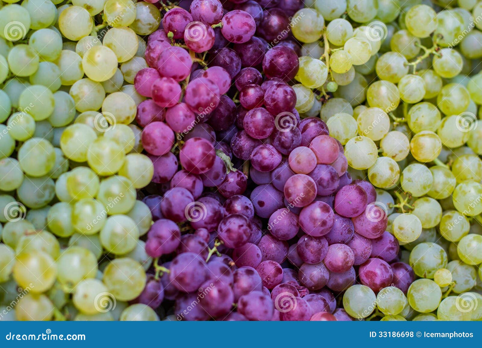 Green and Rose Grapes Background Stock Photo - Image of wine, sell ...