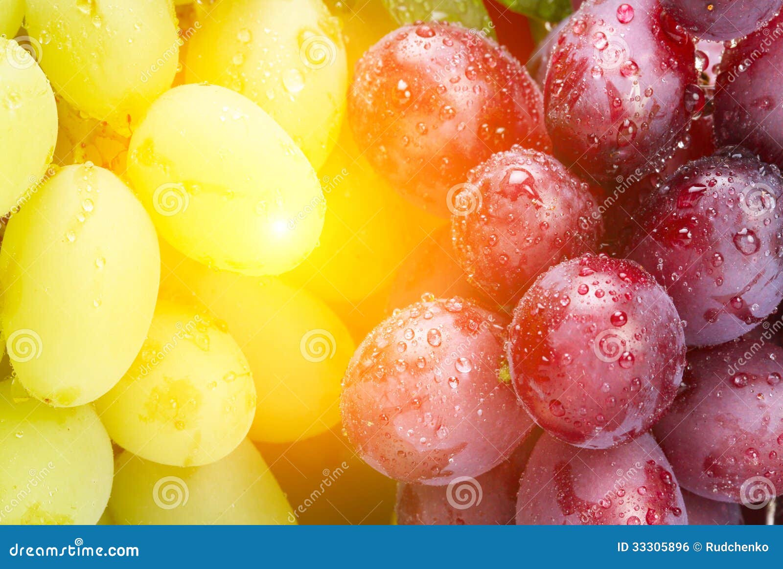 Green and rose grapes stock photo. Image of bunch, food - 33305896