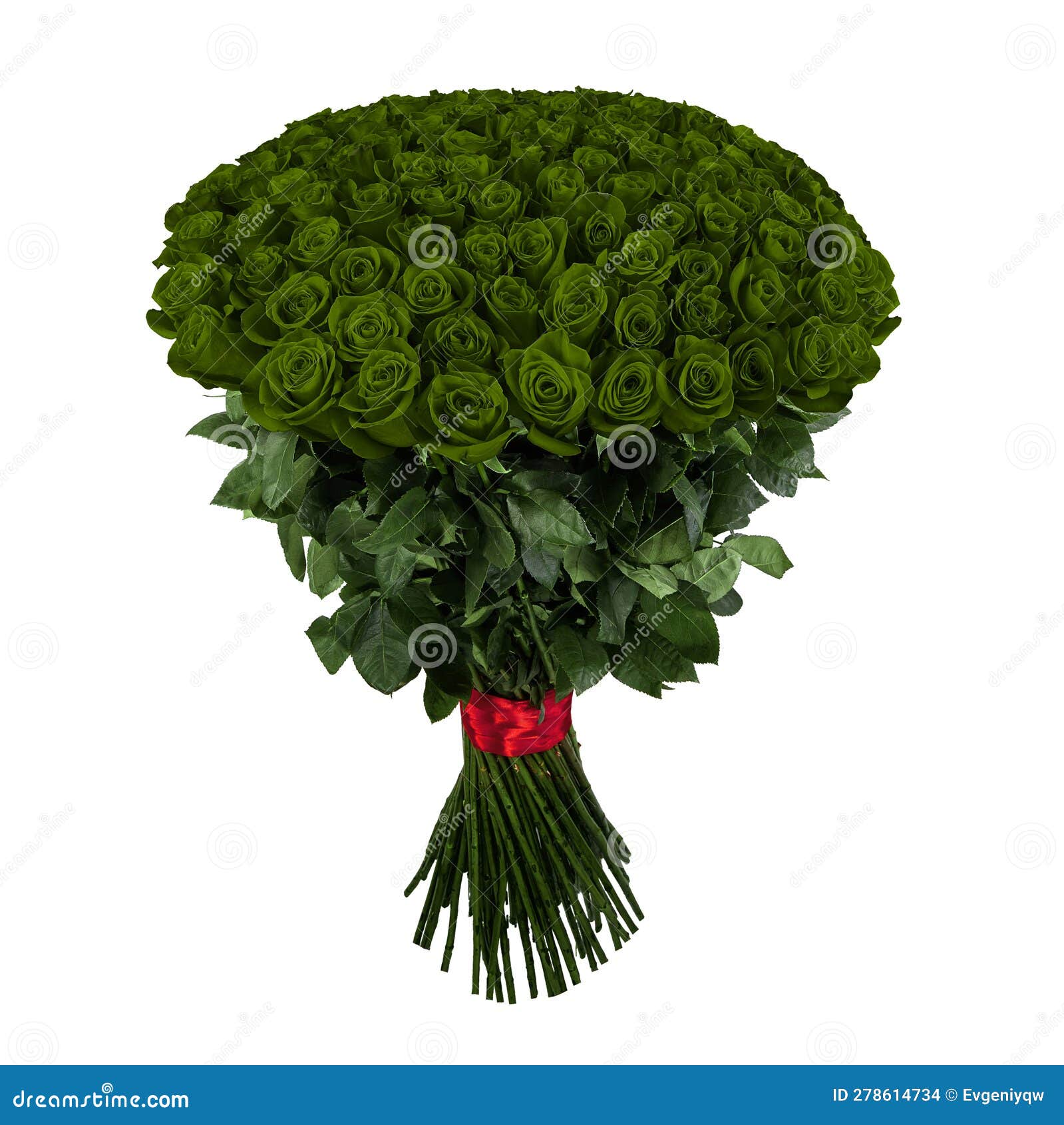 Green Rose. Isolated Large Bouquet of 101 Rose on White Stock Photo ...