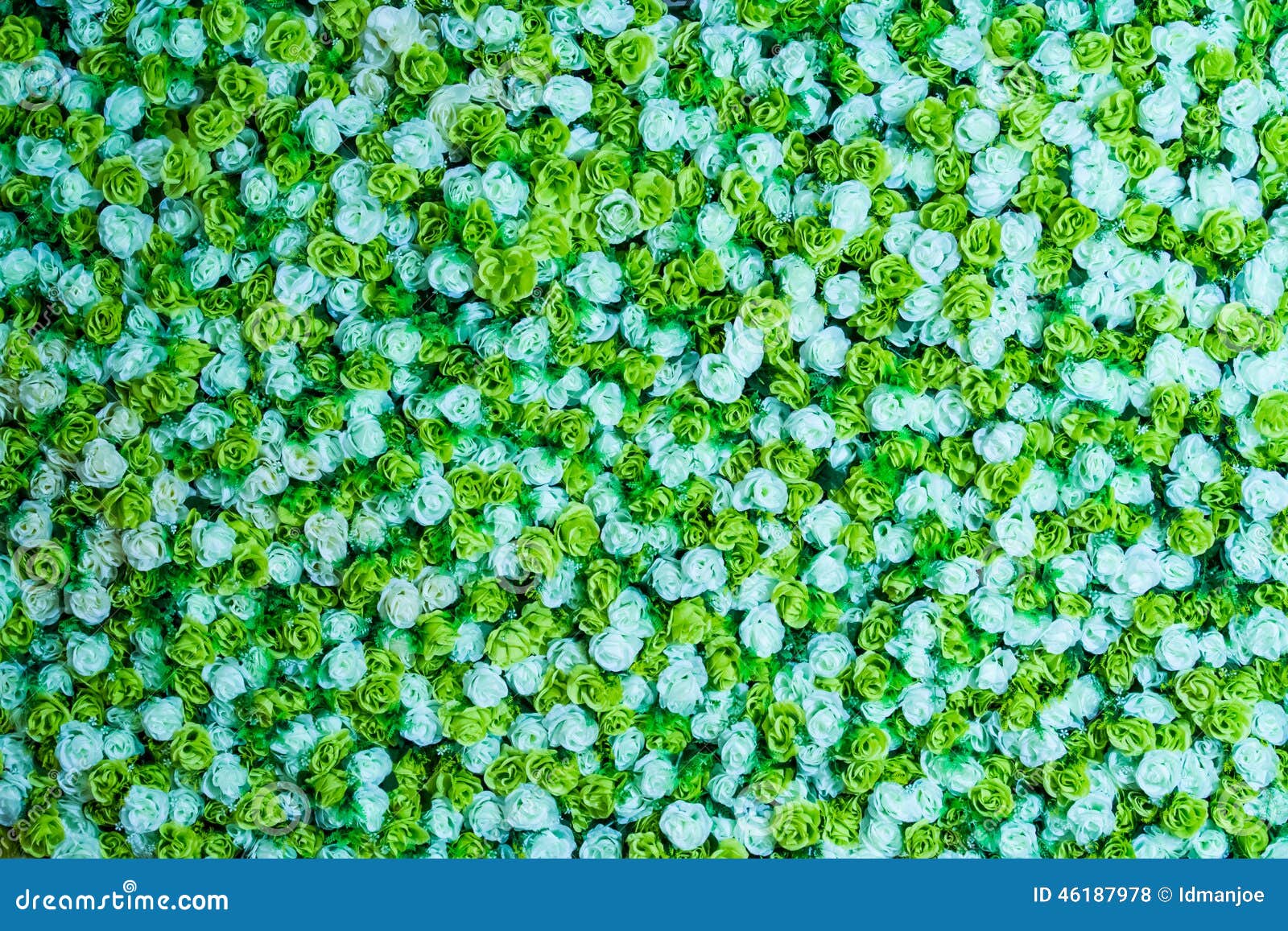 Green roses stock photo. Image of heads, marriage, blossom - 46187978