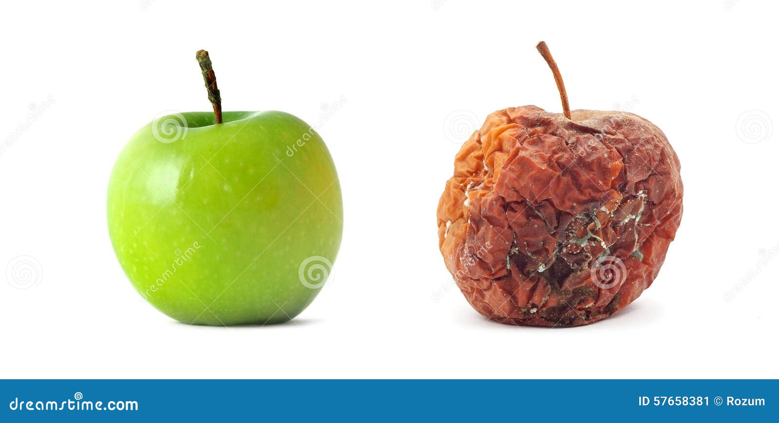 Green and rotten apple stock image. Image of death, closeup - 57658381