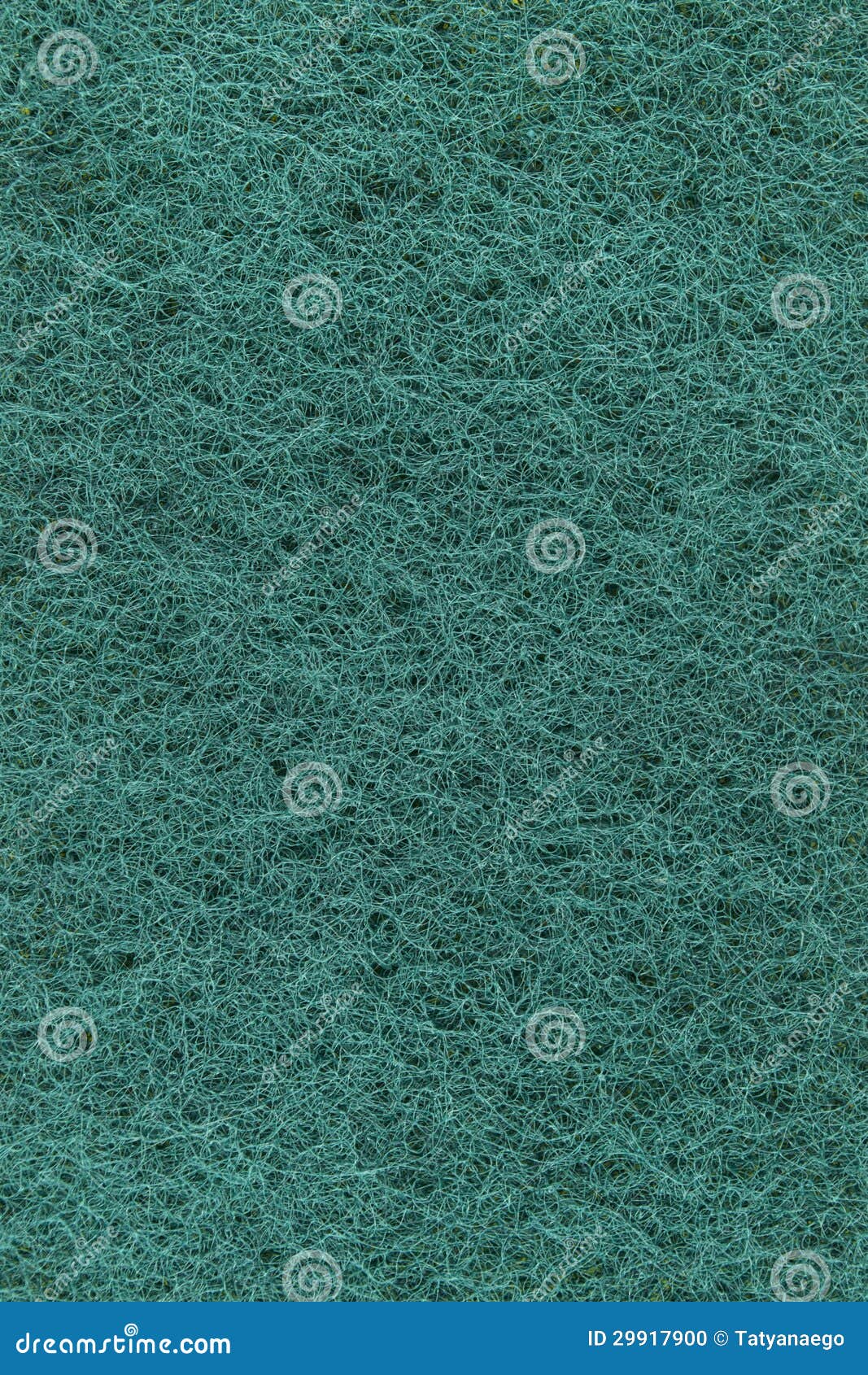 Sponge texture stock photo. Image of cloth, bristle, texture - 29917900