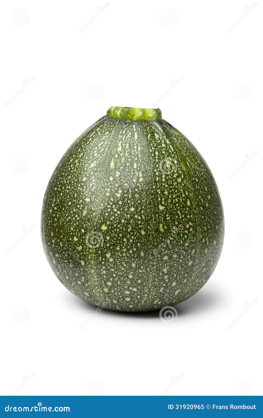 Green round zucchini stock image. Image of variety, squash - 31920965