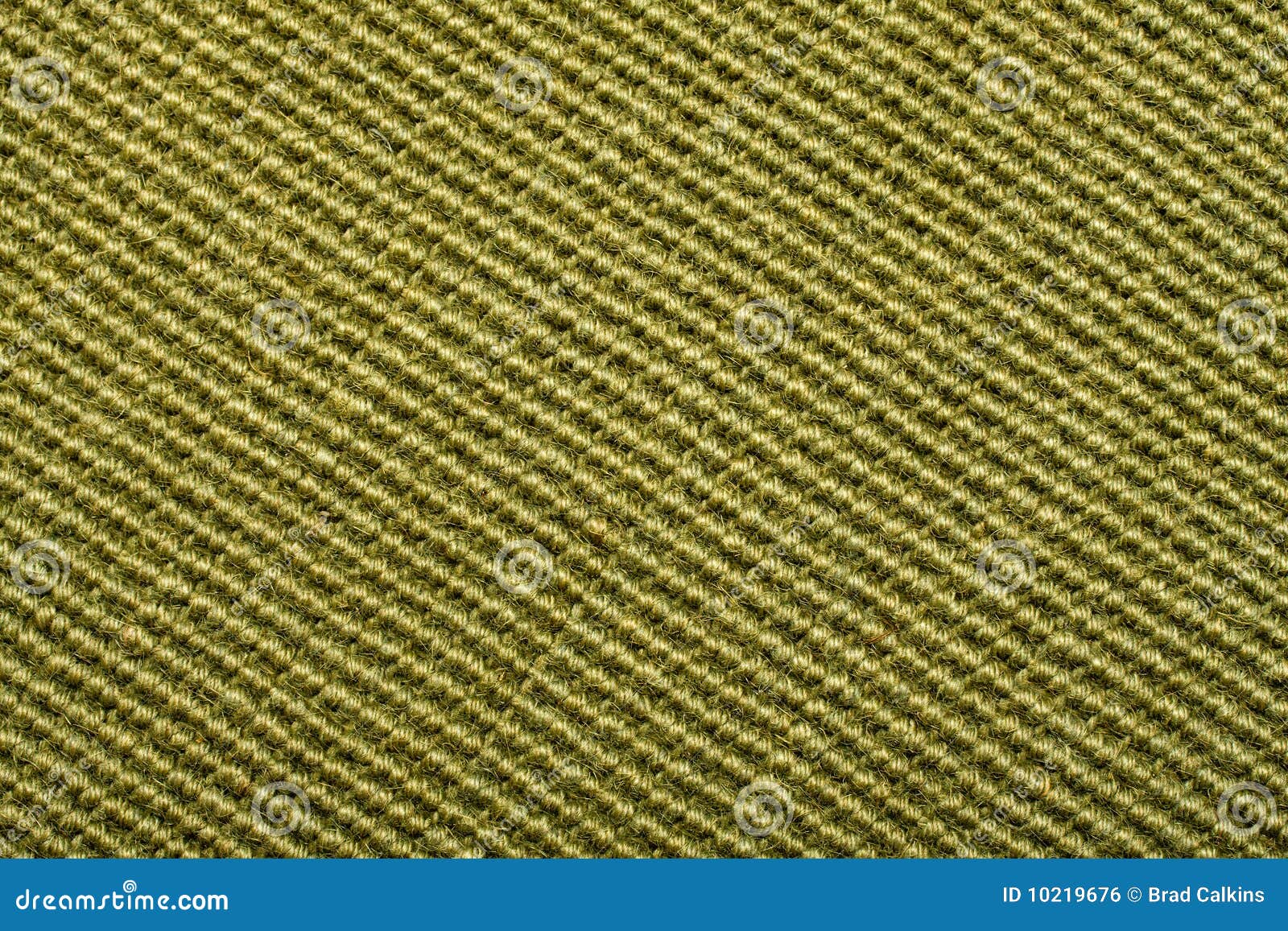 Green rug stock photo. Image of closeup, textures, carpet - 10219676