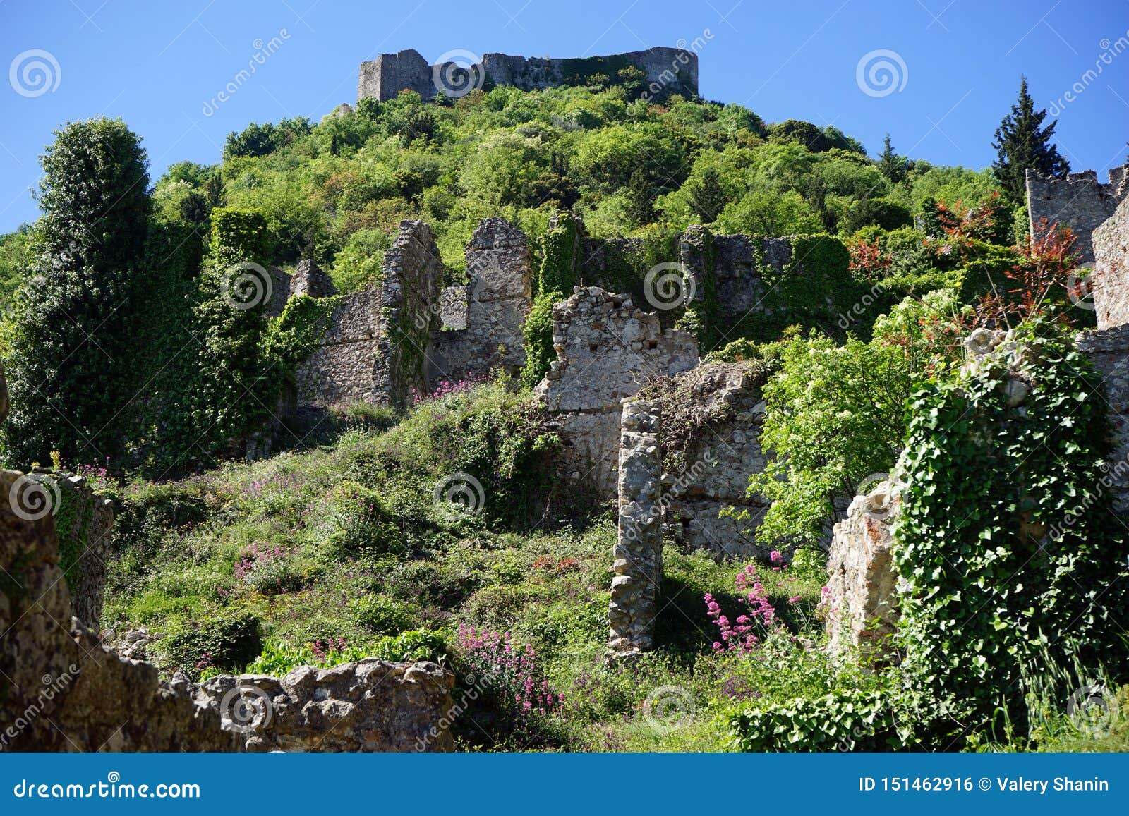 Green ruins editorial photo. Image of green, history - 151462916