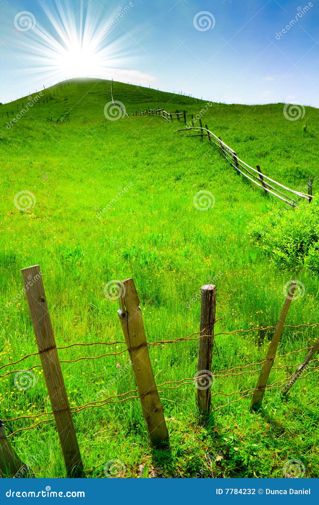 The Green And Rural Hinterland Of The Porquerolles Island Royalty-Free ...
