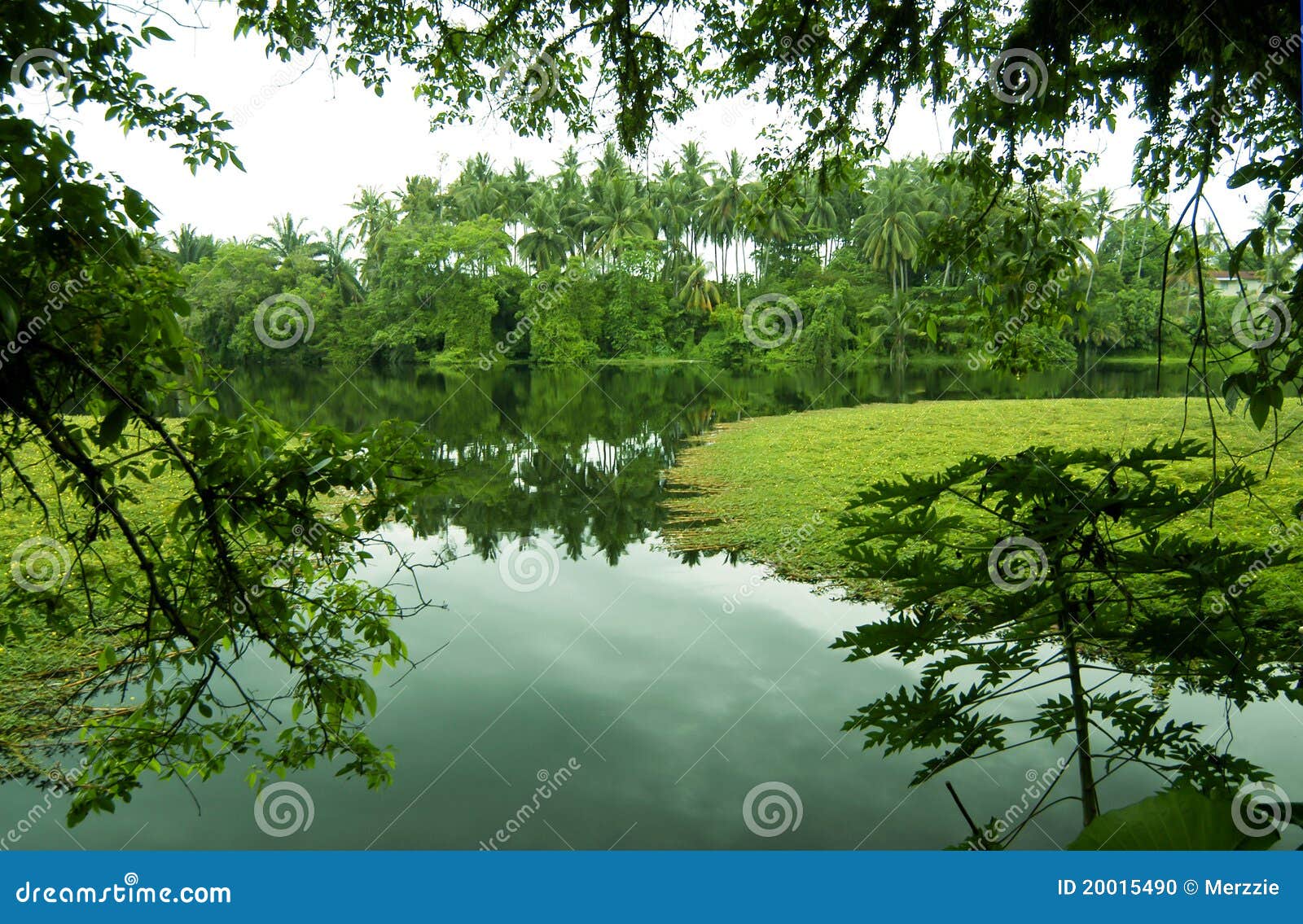 Green Rural Landscape stock photo. Image of plants, peaceful - 20015490