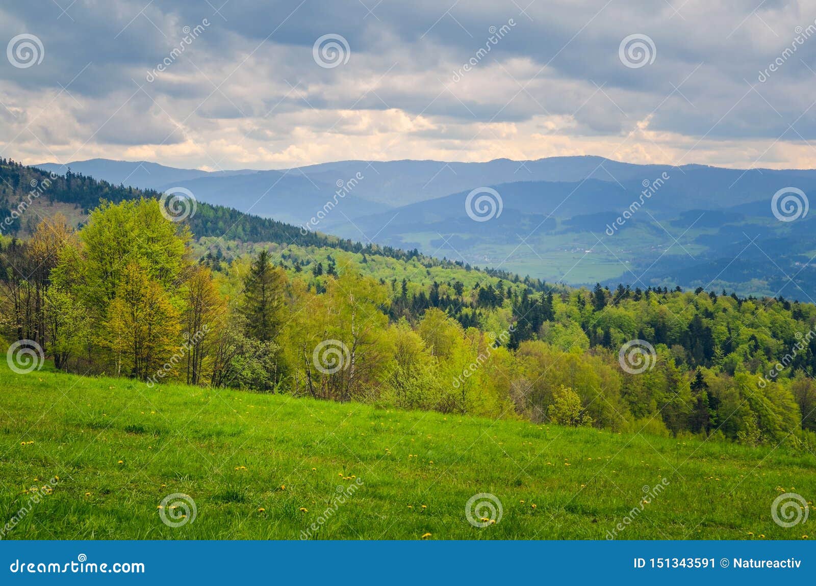Beautiful Spring Mountain Landscape. Stock Image - Image of landscape ...