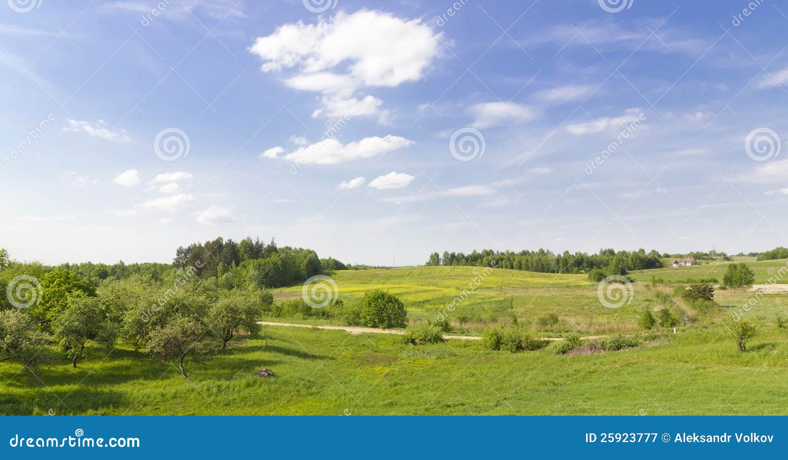 Green Rural Summer Panoramic Landscape Stock Image - Image of landscape ...