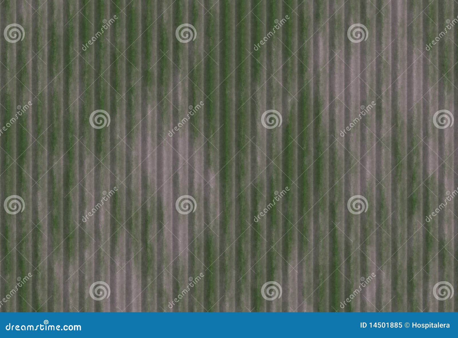 144 Green Parallel Textures Photos - Free & Royalty-Free Stock Photos ...