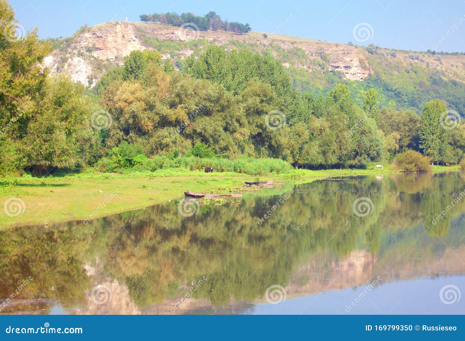 Peaceful rustic scenery stock photo. Image of countryside - 169799350