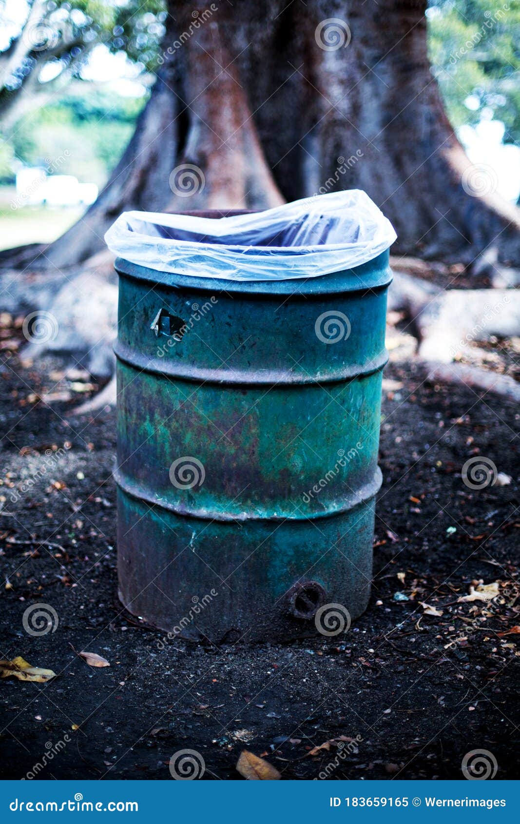 Rusty Garbage Can in Front of a Tree in a Public Park Stock Image ...
