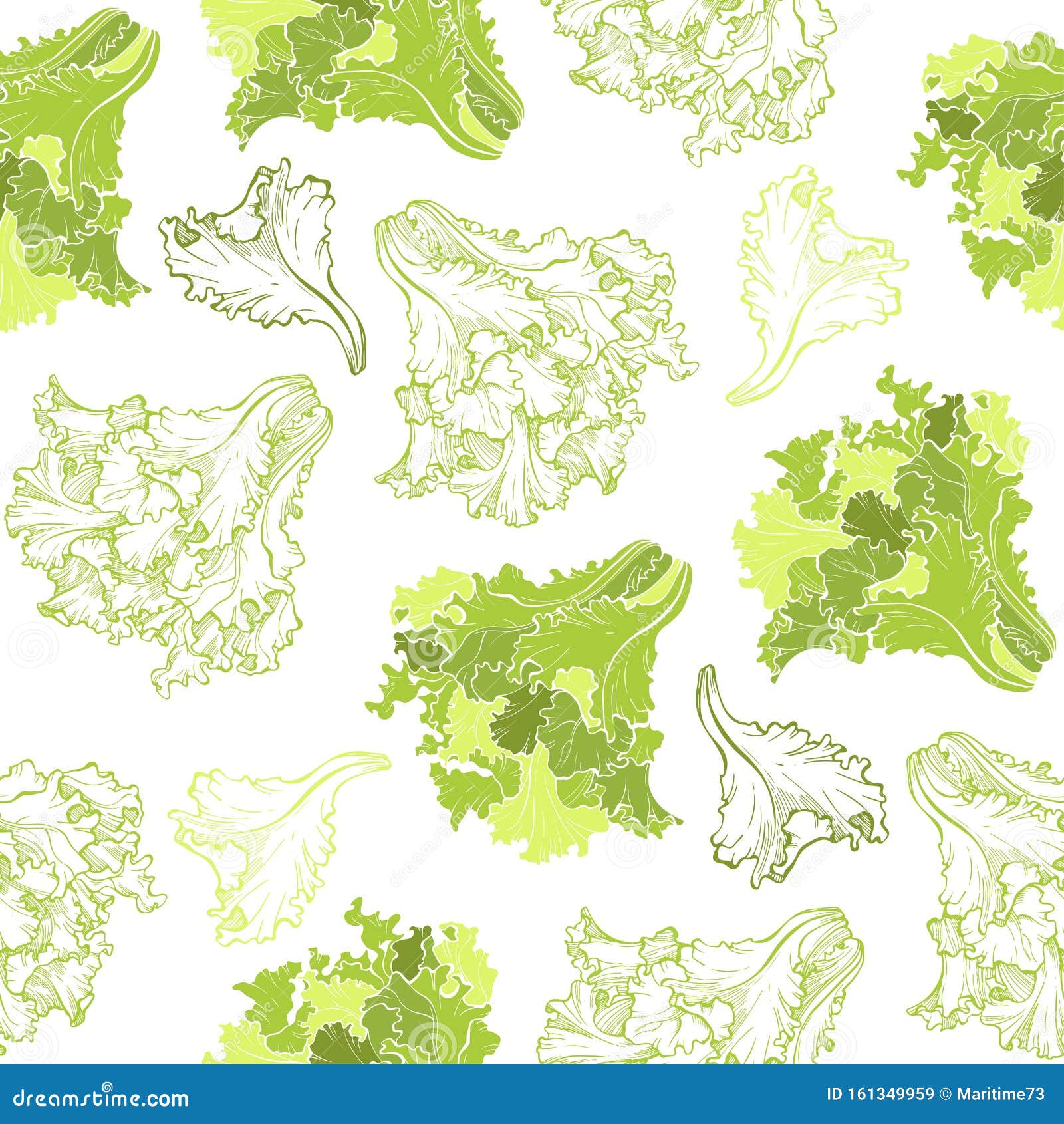 Green Salad . Seamless Vector Pattern on White Background. Stock ...