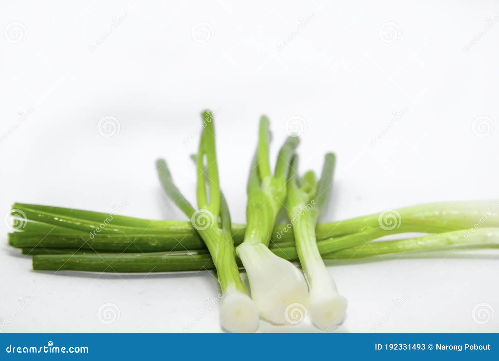 Green Scallion in Nature on a White Background Stock Image - Image of ...