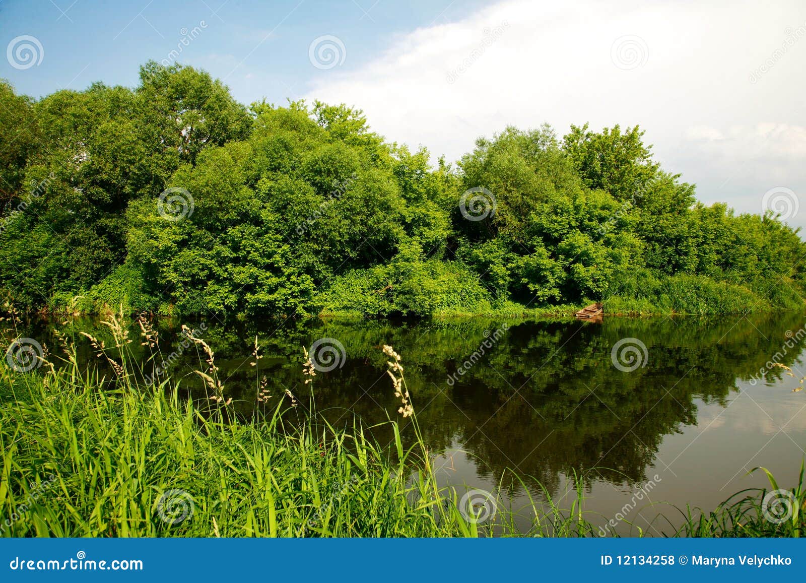 Green scene stock photo. Image of green, outdoors, river - 12134258