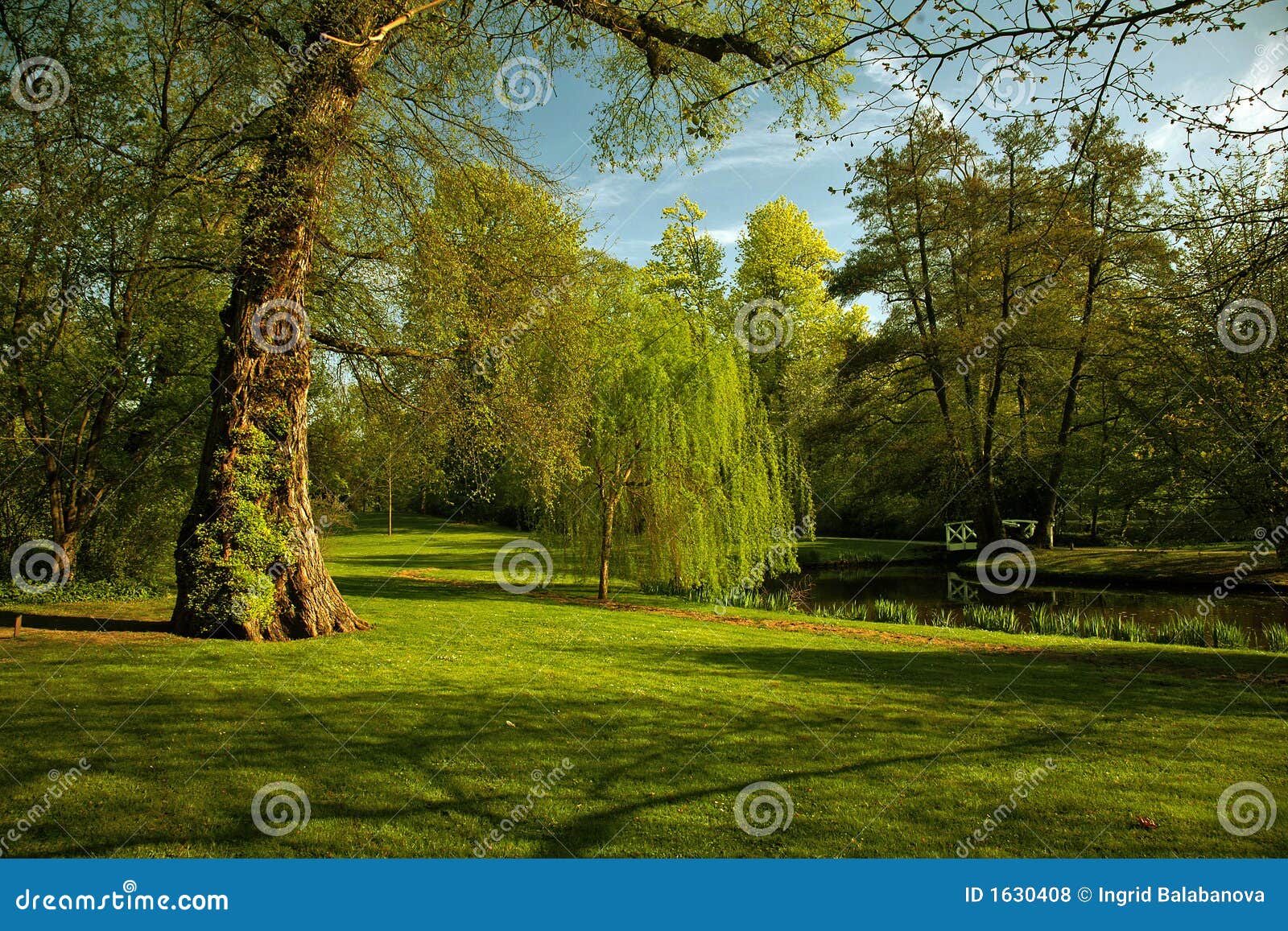 Green Scenery Of A Village With Beautiful Cloudy Weather. Cloudy ...
