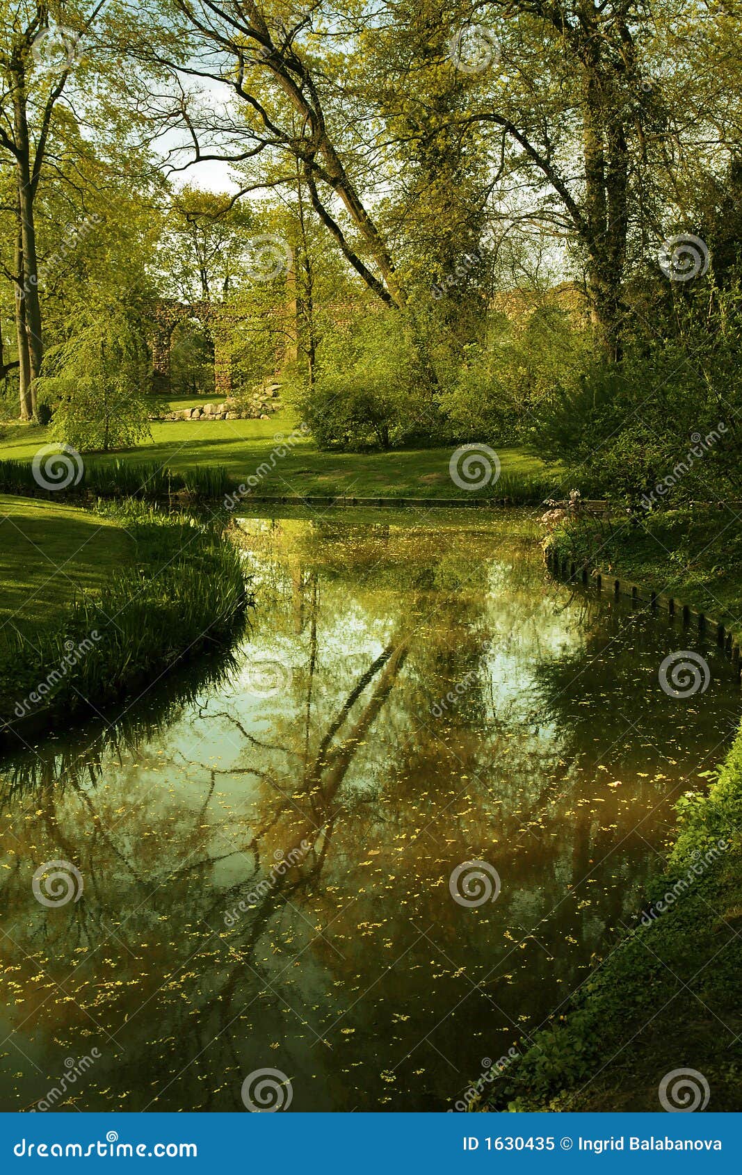 Green Scenery Of A Village With Beautiful Cloudy Weather. Cloudy ...