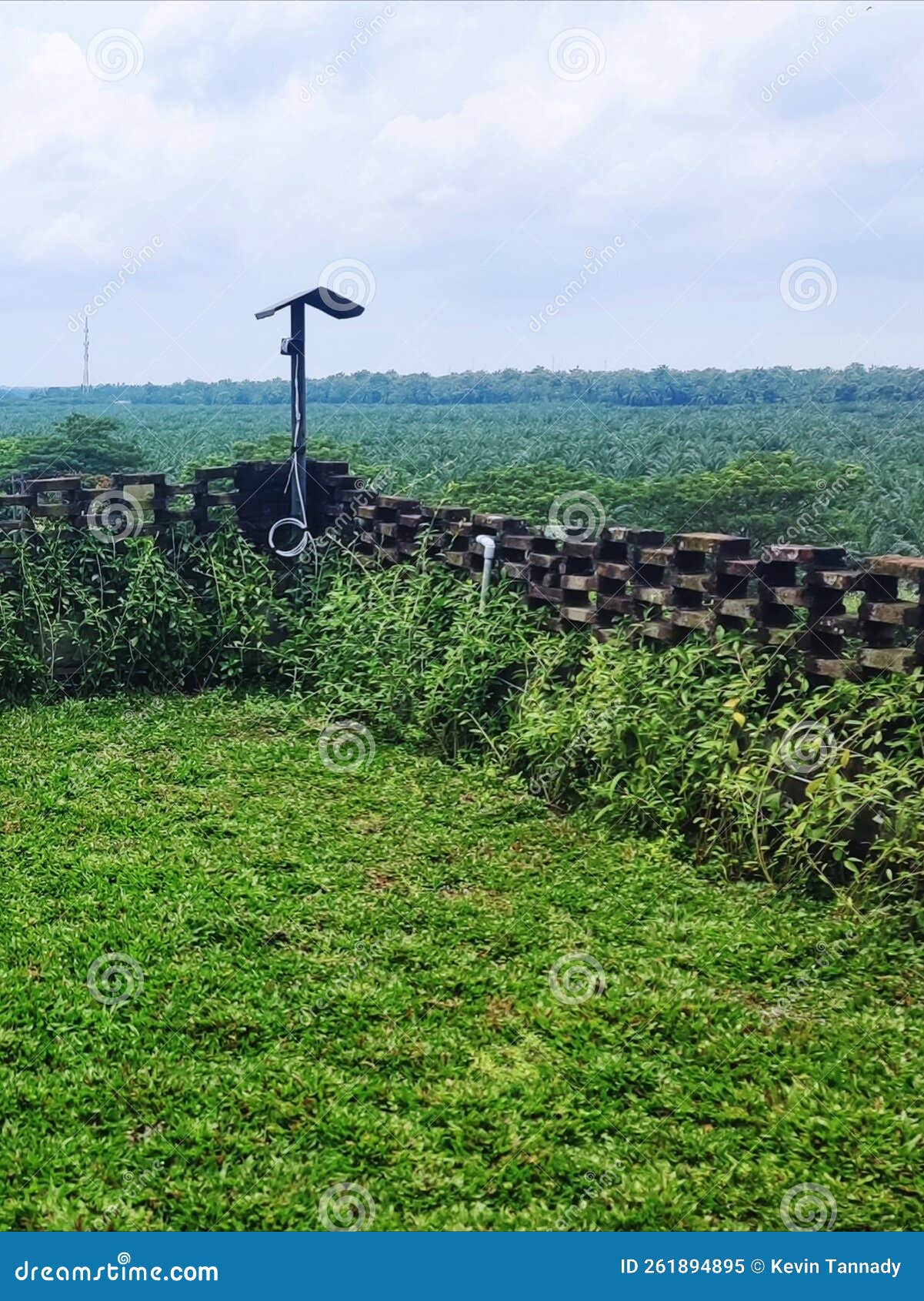 Green Scenery at Rooftop Built with Bricks Stock Image - Image of built ...